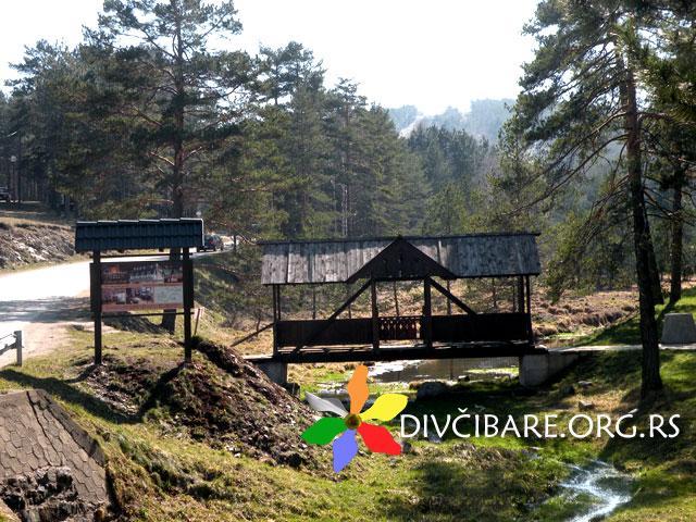 Photo Gallery - Divcibare Portal Mountain Divcibare