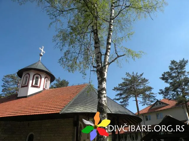Divčibare u proleće - planina Divčibare proleće 2016 godine